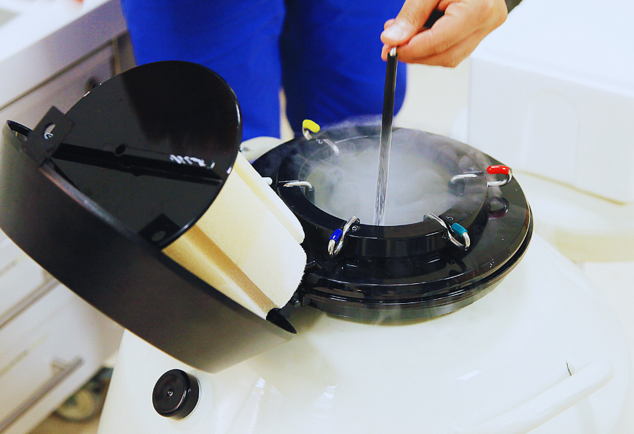 Choosing Between Fresh and Frozen Embryo Transfers for Your IVF Journey ...