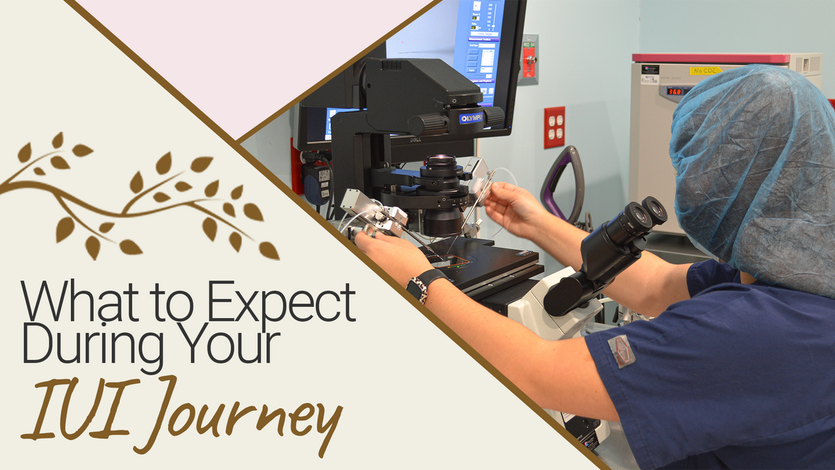 What to Expect During Your IUI Journey | Fertility Wellness Insitute of ...